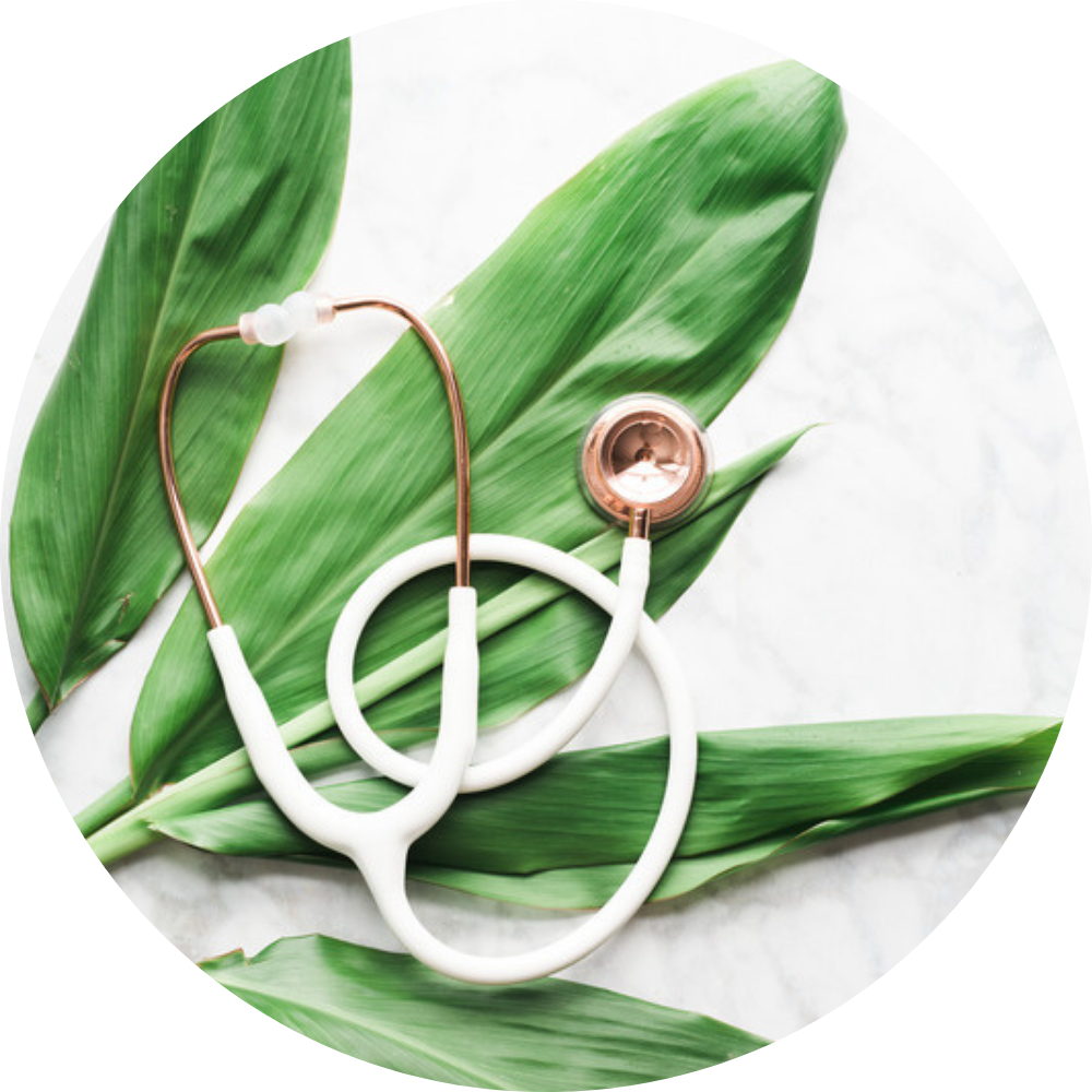 About - Osana - Our Preventative Approach